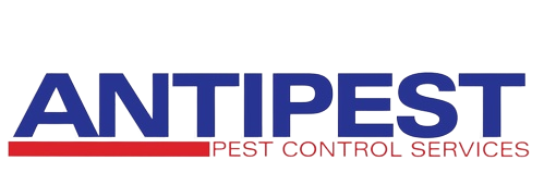 Pest Control - Spring Hill, Columbia,Tn Antipest Pest Control